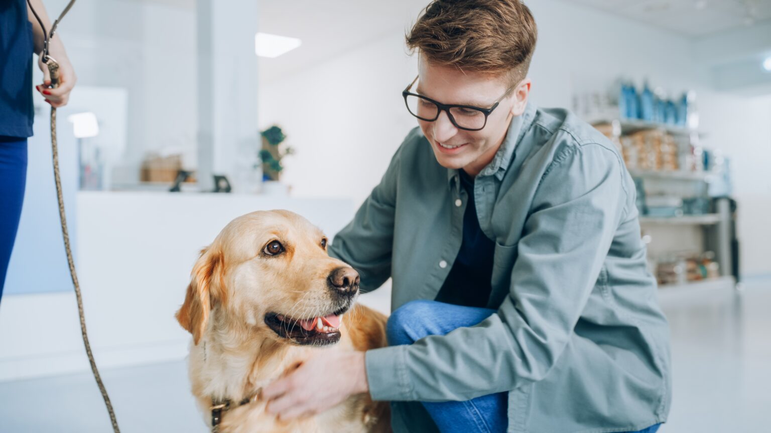 Veterinarian Saugus, MA | Saugus Animal Hospital